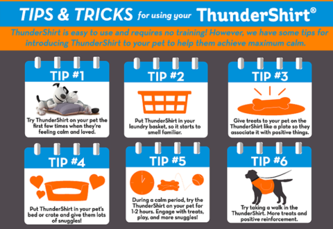 Instructions - Thundershirt